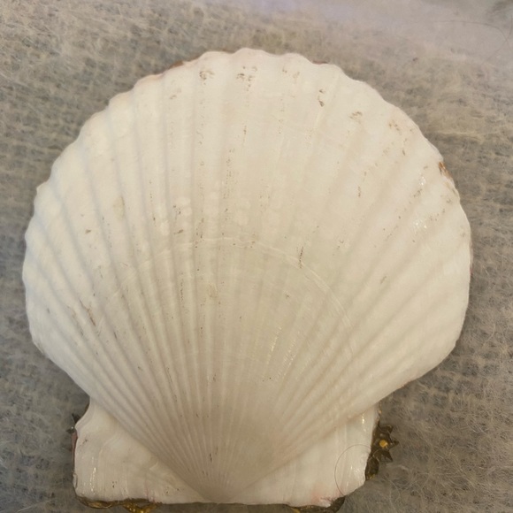 Accents | Beautiful Mermaid Scallop Shell | Poshmark